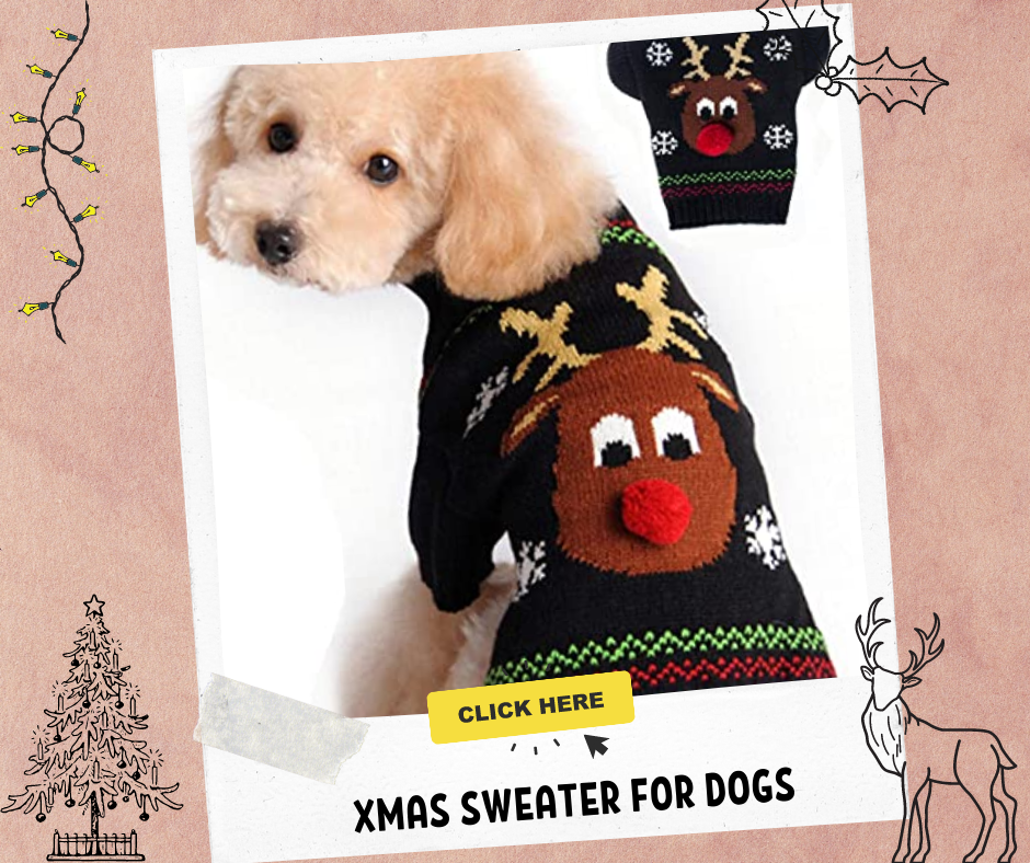25 Christmas Gifts Ideas for Dogs and Dog owners